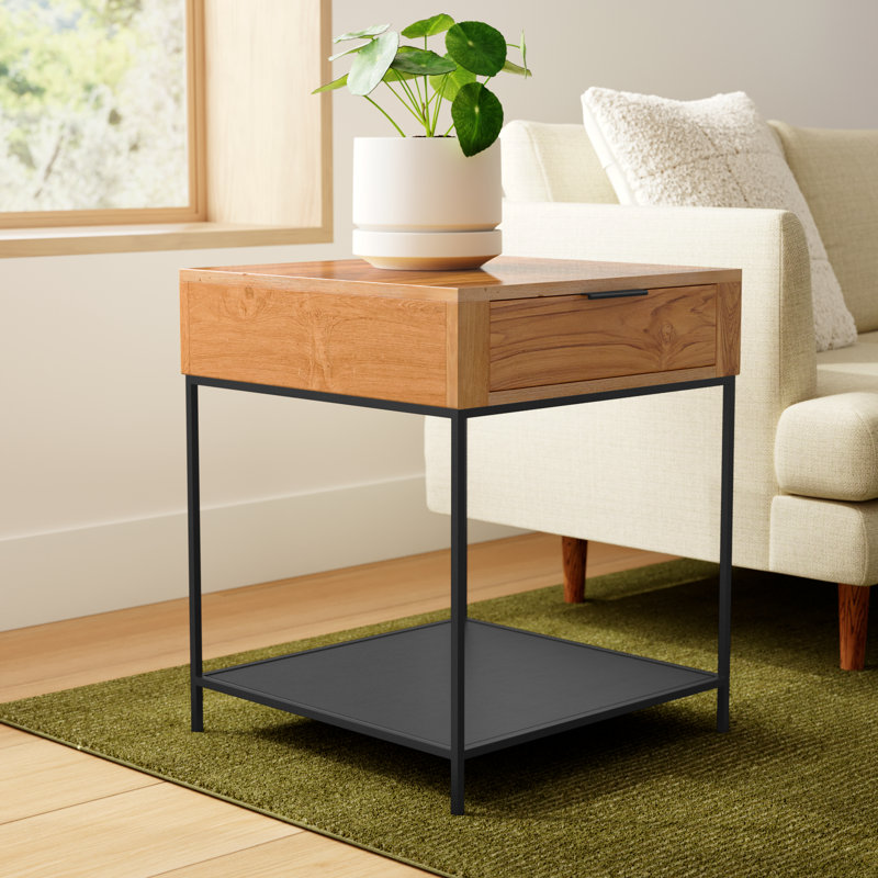 AllModern Theo Solid Wood End Table with Storage & Reviews | AllModern